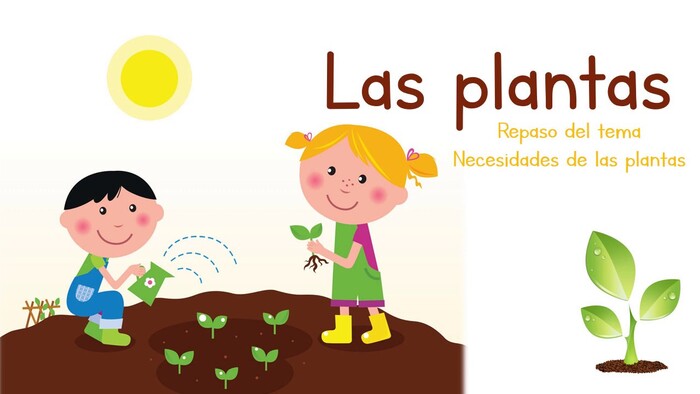 Las necesidades de las plantas :: EL MALTRATO DE LAS PLANTAS